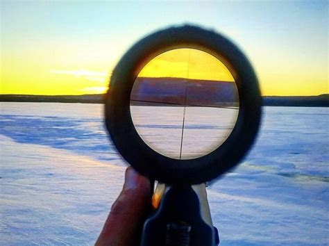 Hunting Guide Importance Of Sniper Scope Boreal Forest