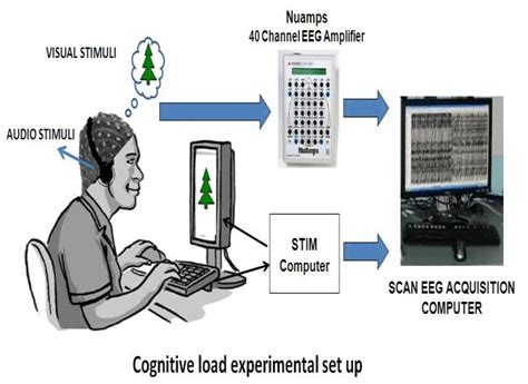 experimental setup for acquiring eeg data during cognitive load
