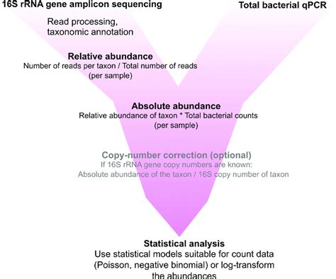 workflow for implementation of qpcr based quantitative microbiome