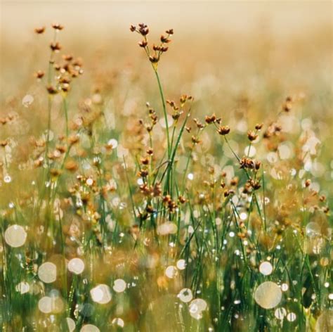 Sexanddrugandrocknroll Sexanddrugandrocknroll