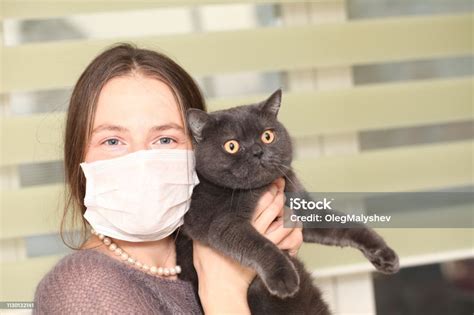 소녀 그녀의 얼굴에 의료 마스크에 인 간에 대 한 고양이 감염에 대 한 영국 고양이 Breedtoxoplasmosis 보호를 들고 있다 갈고리 발톱에 대한 스톡 사진 및