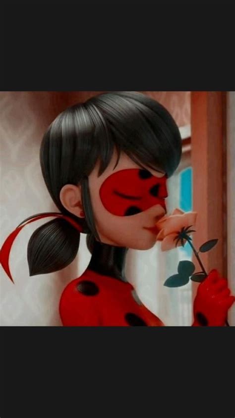 Metadinhas Minha Galeria De Fotos Metadinhas Festa