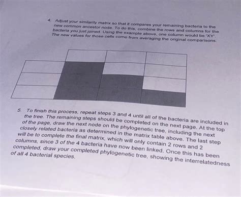 Solved 4 Adjust Your Similarity Matrix So That It Compares