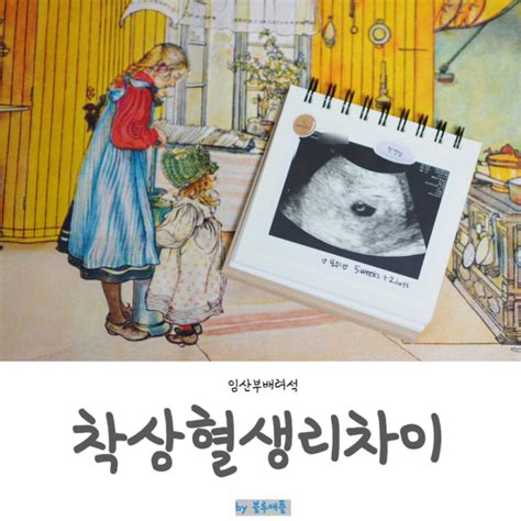 착상혈 나오는 시기 기간 색 양 특징 생리 임신 차이 임신초기 출혈 네이버 블로그