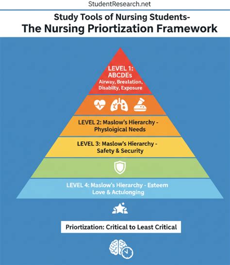 Study Tools For Nursing Students Your Essential Guide To Crushing The