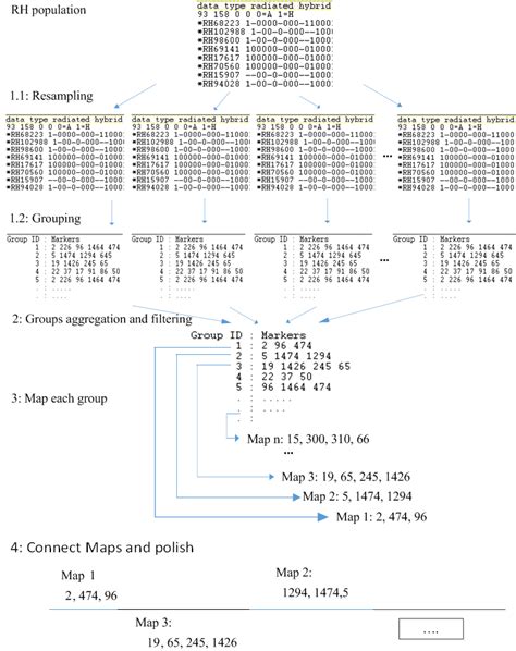 The Proposed Algorithm For Building Initial Framework Maps Download Scientific Diagram