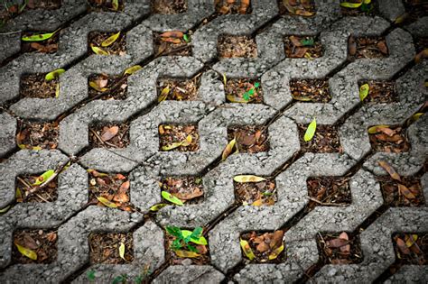 현대적인 사각형 모양의 포장 벽돌 또는 포장 돌을 클로즈업하고 부지 및 산책로 디자인에 사용되는 풀과 나뭇잎이 혼합되어 있습니다 0명에 대한 스톡 사진 및 기타 이미지
