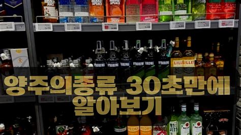 양주의 종류 30초만에 정리 위스키 브랜디 럼 보드카 Youtube