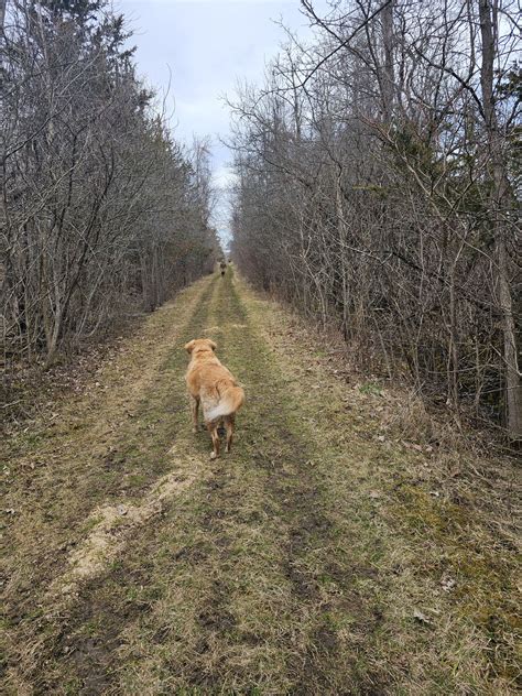 Tick Tick Boom Fit Is A Feminist Issue