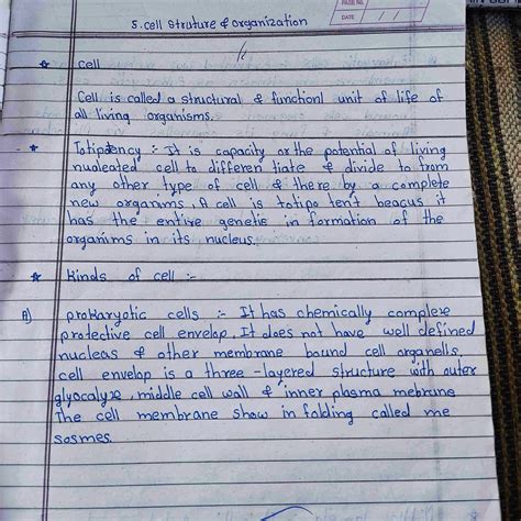 Solution Cell Structure And Organization Studypool