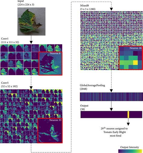 A Vanilla Convolutional Neural Network Cnn Representation Download