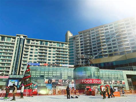 웰리힐리파크 슬로프최고전망 스탠다드b형 특가양도 여행숙박이용권 중고나라