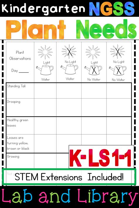 Ngss Science Standards