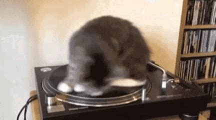 Spinning  Tenor