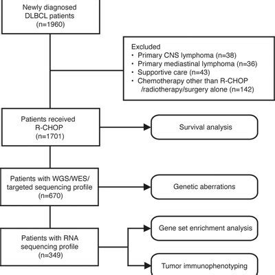 Flowchart Of The Patient Selection And Methods Abbreviations DLBCL Download Scientific