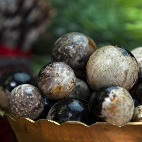 Indonesian Fossilized Palm Root Sphere For Gentle Grounding And Peace