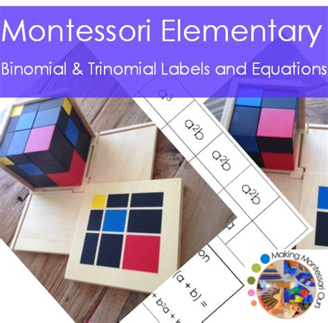 Montessori Binomial And Trinomial Cube Labels And Equations Pdf Etsy