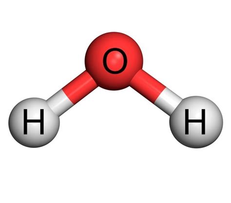 Historia Relacionada Con La Molécula De Agua Los Bioelementos El