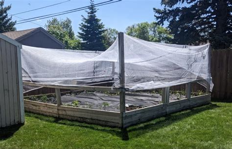 Best Hail Netting For Garden Planting 2023 Updated