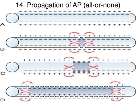 Ppt 1 Distribution In Ecf Vs Icf Powerpoint Presentation Free Download Id 5432680