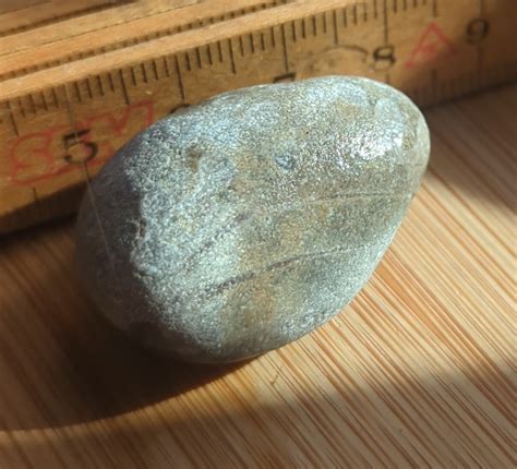 Chambered Fossil Fragment And Circular Pattern Fossil Id The Fossil Chambered Fossil Fragment And Circular Pattern Fossil Id The Fossil