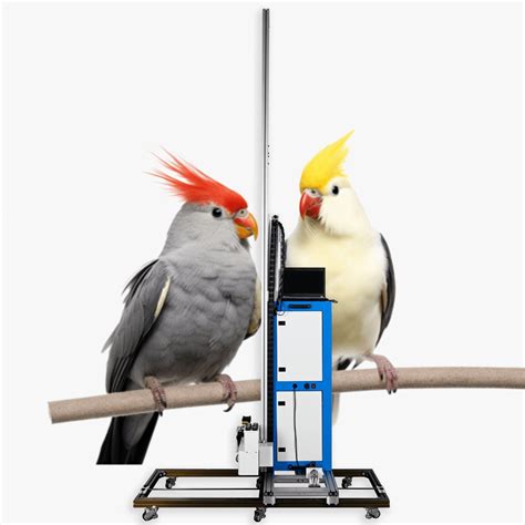 3d Uv Inkjet Wall Printer Floor Wall Printing Machine For Eco Friendly