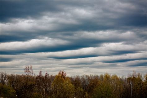 무료 사진 진한 파란색 폭풍 바람 나쁜 날씨 극적인 공기 분위기 풍경 자연 트리