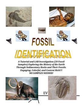 Fossil Identification Lab No Actual Samples Needed Rave Reviews