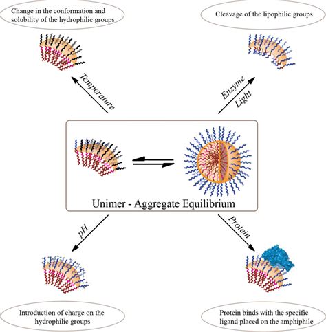 Figure 11 From Self Assembly And Stimuli Responsive Disassembly Of