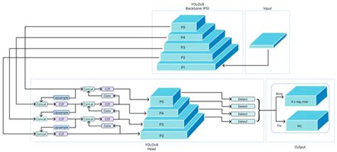 Integration Of Yolov8 Small And Mobilenet V3 Large For Efficient Bird