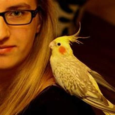 Stream Dominika Robak Music Listen To Songs Albums Playlists For