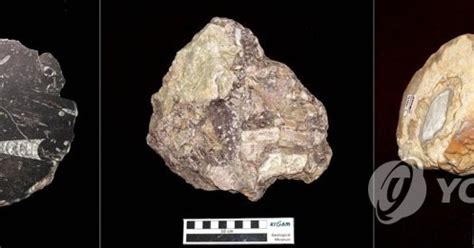 독특한 모양의 석회암