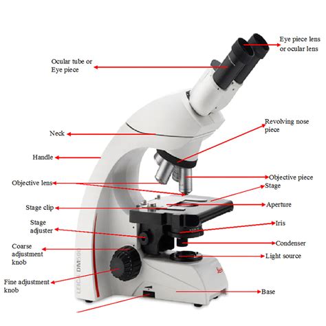 Iris Diaphragm Microscope Parts Of A Microscope With Their Functions