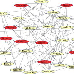 Color Online Key Nodes Red Color Located In An ER Network Download Scientific Diagram