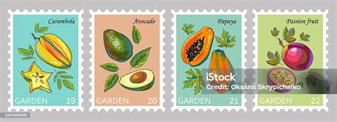 과일이 든 우표 컬러 배경에 카람볼라 아보카도 파파야 패션 프루트가 있는 과일 스티커 잎이 있는 전체 과일과 얇게 썬 과일 손으로 그린 벡터 세트입니다 만화 스타일 0명에
