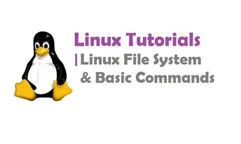 Shagirul Hassan On Linkedin Linux Basic Commands File System