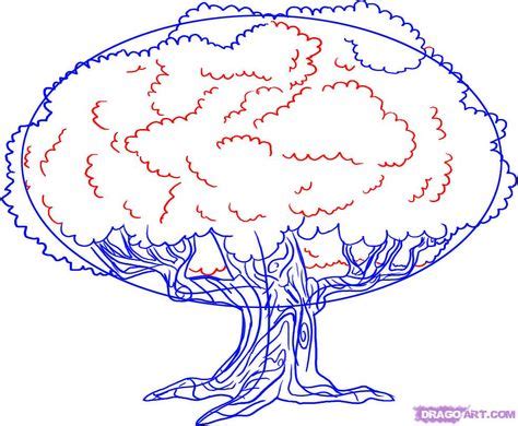 76 Best How To Draw Flowers Trees Etc Images On Pinterest Drawing Flowers Cartoon Flowers