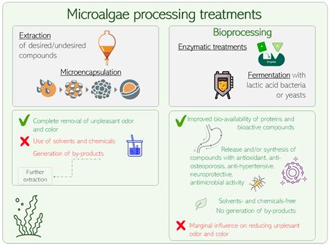 Bioprocessing To Preserve And Improve Microalgae Nutritional And Functional Potential Novel