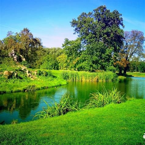 يوسف الشريف Youtube