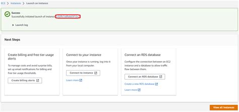 Creating The First Ec2 Instance Lifekeeper For Linux Live 980