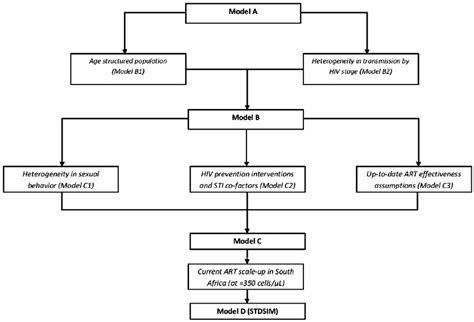 Stepwise Approach Of Developing Nine Structurally Different Models With Download Scientific