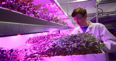 Reaseheath College Leading Land Based College