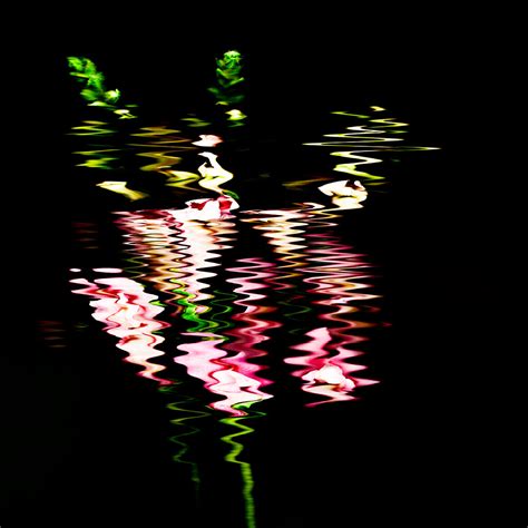 Haley Myrick College Of Architecture Art And Design