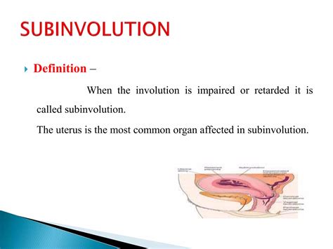 Subinvolution Of The Uterus Pptx