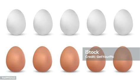 흰색과 갈색 현실적인 닭고기 달걀 흰색 배경에 격리 된 벡터 그림 0명에 대한 스톡 벡터 아트 및 기타 이미지 0명 3차원 형태 가득 찬 Istock
