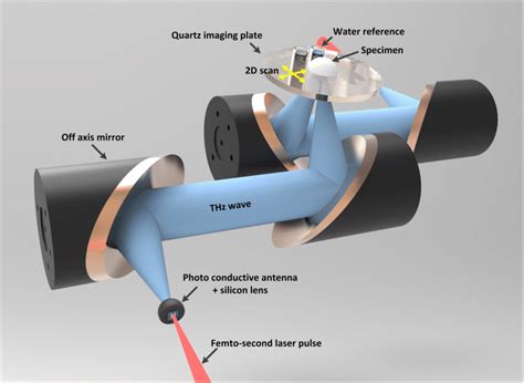 Schematic Diagrams Of Thz Time Domain Reflectometry Experimental Setup