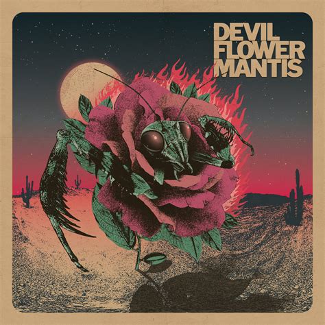 Devil Flower Mantis Devil Flower Mantis