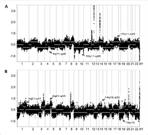 Two Representative Array Cgh Copy Number Profiles From Tumors Derived