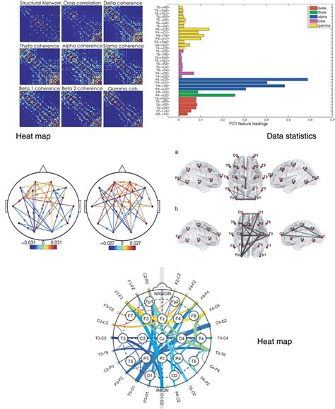 Examples Of The Visualization Of Brain Connectivity A Structural And Download Scientific