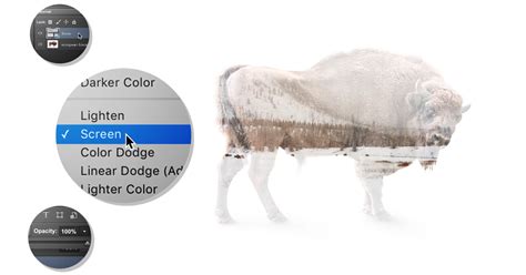 Learn Photoshop Tricks In One Minute With Adobe S Make It Now Series PetaPixel